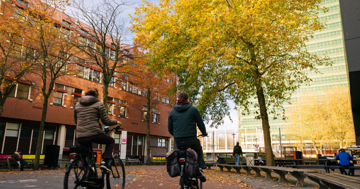 The Coïmbrapad is set to change. And you can vote on the design ...